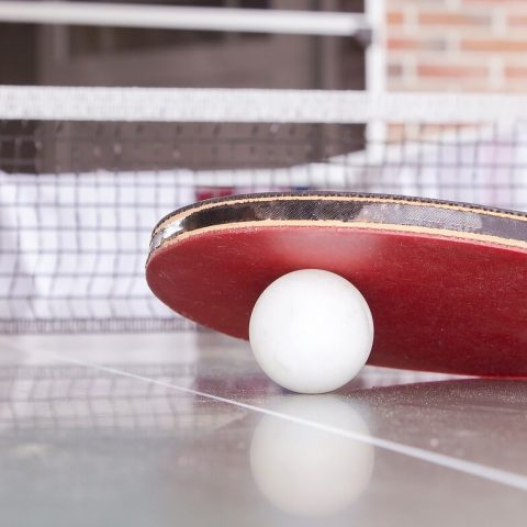 Difference Between Shuttle and Badminton | Peak Striker